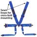 Formula Car Harnesses - Pegasus Auto Racing Supplies