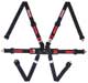 Formula Car Harnesses - Pegasus Auto Racing Supplies